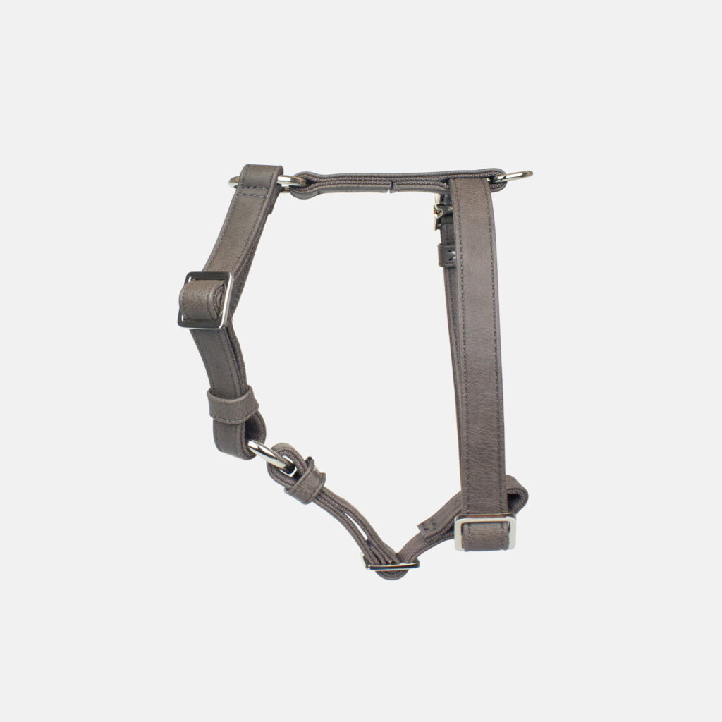 Strength Dog Harness - Neula